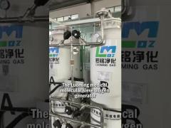 Luoming Oxygen Generator - Oxygen Generation Capacity and Stability