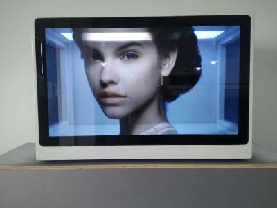 Cina Infrarosso a 22 pollici di dimensione della vetrina LCD trasparente di Digital/touch screen capacitivo in vendita