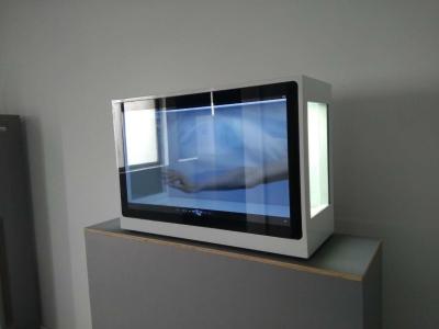 Cina Scatola di presentazione trasparente a 32 pollici, contenitore per esposizione trasparente di stile elegante in vendita