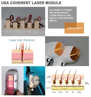 Cina Cura regolare e perfetta del laser a diodi del dispositivo professionale di depilazione - per la vostra pelle in vendita