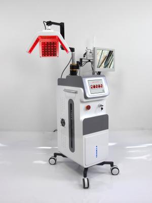 Cina 5 in 1 attrezzatura del salone di bellezza di terapia del diodo della macchina 650nm di crescita dei capelli del laser in vendita