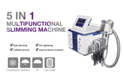 Cina Vuoto Cryolipolysis che dimagrisce cavitazione grassa fresca del corpo di macchina 360 per il salone di bellezza in vendita