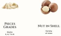 Quality Kosher Certified Nutritious Nut Mix Containing Almond Cashew Walnut Pistachio for sale