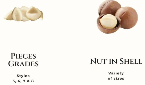 Quality Kosher Certified Nutritious Nut Mix Containing Almond Cashew Walnut Pistachio Designed for Specialty Food Suppliers for sale