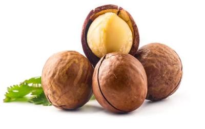 China Security Access Control Enforced Wholesome Nut Mix Delicious Nut Blend Offering Balanced Nutrition Great for Retail and Food Service Applications for sale