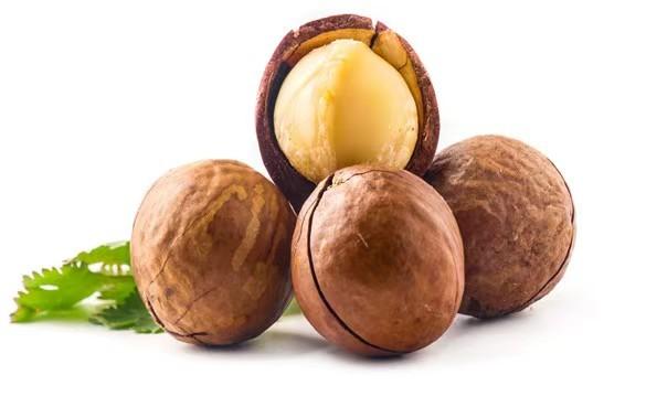 Quality Security Access Control Enforced Wholesome Nut Mix Delicious Nut Blend Offering Balanced Nutrition Great for Retail and Food Service Applications for sale