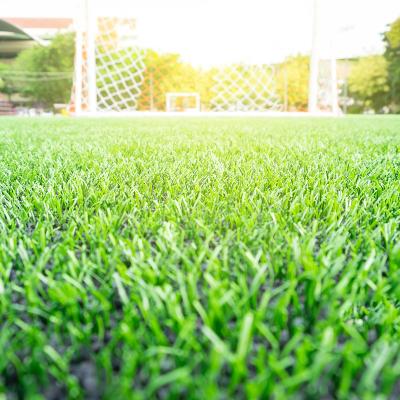 Cina tappeto erboso di sport di Dtex dell'erba artificiale naturale 12000 di 2*25m pp multi in vendita