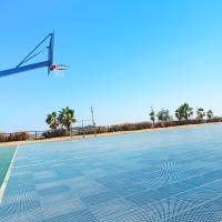 China PP Plastic Interlocking Sports Flooring 250x250x13mm Outdoor Basketball Court Tile for sale