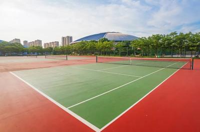 Cina Non gli sport all'aperto di Polyurethaning di inquinamento sorge l'alta elasticità in vendita