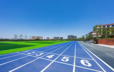 Cina Granelli di gomma materiali di superficie riciclati della pista corrente sintetica EPDM in vendita