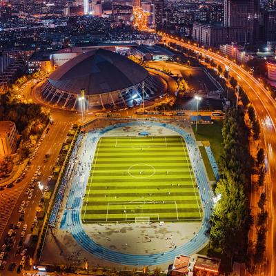 Cina Pavimentazione artificiale di sport del prato inglese del giardino dell'arcobaleno dell'erba del tappeto erboso di calcio di 25MM in vendita