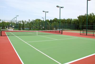 Cina pavimentazione di superficie Fadeless di sport dell'unità di elaborazione di 4mm per la corte di pallavolo variopinta in vendita