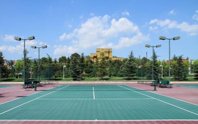 Cina Sport senza cuciture dell'unità di elaborazione che pavimentano alta elasticità e resistenza all'usura in vendita