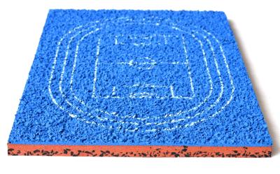 Cina pista corrente di gomma Mat Athletic Runway Synthetic di atletica di spessore di 13mm in vendita