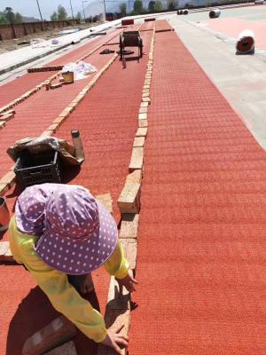 Cina Granelli del TPE che pareggiano la scuola secondaria dirigentesi di gomma della pittura della pista della pista in vendita