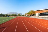 China Full PU 13mm Running Track Flooring Harmless Colorful Athletic Surface for sale