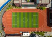 China Full PU 13mm Running Track Flooring Harmless Colorful Athletic Surface for sale