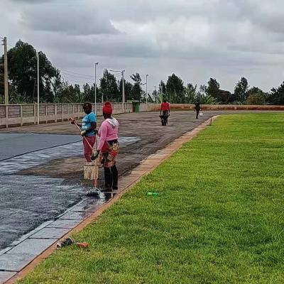 Cina superfici inossidabili pareggianti di sport all'aperto della scuola per qualsiasi tempo materiale dello stadio della pista di 13mm in vendita
