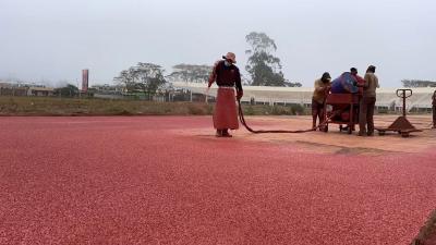 Cina Materiale della pista da jogging della scuola dello stadio EPDM SBR Superfici antiruggine per tutte le condizioni atmosferiche in vendita