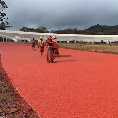 中国 IAAFの証明のゴム製格子縞稼動トラックEPDM動揺の能力別クラス編成制度 販売のため