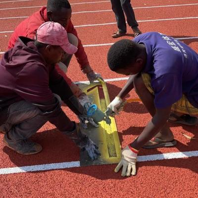 中国 IAAFの証明のゴム製格子縞稼動トラックEPDM動揺の能力別クラス編成制度 販売のため