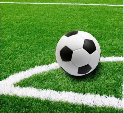 Cina Erba artificiale del tappeto erboso 50mm della corte sintetica resistente UV di calcio per il campo di sport in vendita