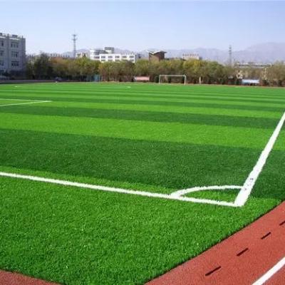 Cina protezione artificiale del lattice di colori PP+NET+SBR dell'erba tre del tappeto erboso di 25mm in vendita