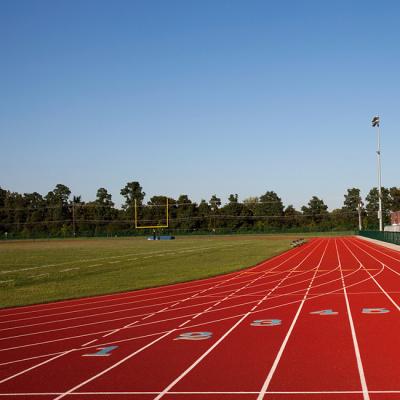 Cina Grafico gli sport sintetici dei 400 tester che pavimentano resistenza all'usura delle superfici in vendita