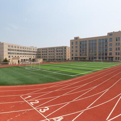 Cina Anti bene durevole all'aperto d'ingiallimento della pista della pavimentazione del sintetico per scuola in vendita