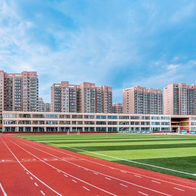 Cina Le superfici sintetiche ad alta resistenza di sport seguono la superficie corrente per qualsiasi tempo della pista in vendita