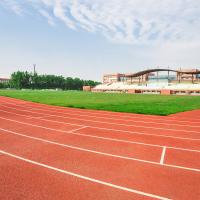 China 13mm Fire Resistant Sandwich System Running Track Moisture Proof EPDM Playground Flooring for sale
