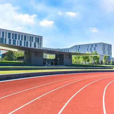 Cina Gli sport sintetici inossidabili riciclati di 13mm sorge atossico in vendita
