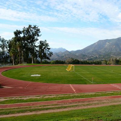 Cina particella di gomma della miscela SBR della colla dell'unità di elaborazione di 13mm che esegue ecologico di superficie della pista in vendita
