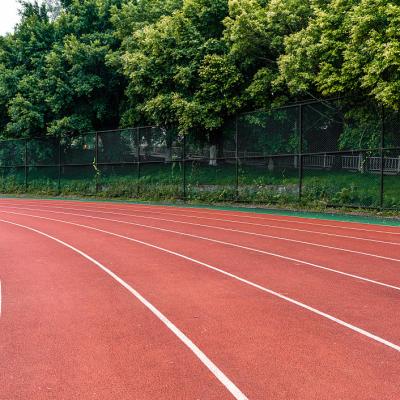 Cina L'iso IAF ha certificato la pista pareggiante all'aperto del modello di nodo di auto ecologica in vendita