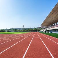 China Eco Friendly Athletic Running Track Spray Coating System 13mm Thickness for sale