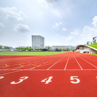 Cina Sistema del panino dello stadio che esegue la superficie di pavimentazione di gomma della pista EPDM in vendita