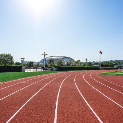 Cina Sistema del panino dello stadio che esegue la superficie di pavimentazione di gomma della pista EPDM in vendita