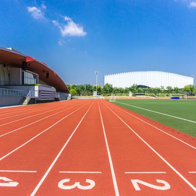 Cina il sintetico di spessore di 13mm mette in mostra pavimentando il campo da giuoco della miscela SBR della colla dell'unità di elaborazione in vendita