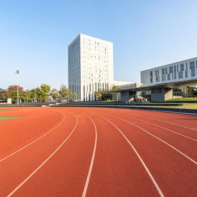 Cina Il sintetico insonorizzato mette in mostra pavimentando la pista corrente di gomma variopinta del raccoglitore EPDM del poliuretano in vendita