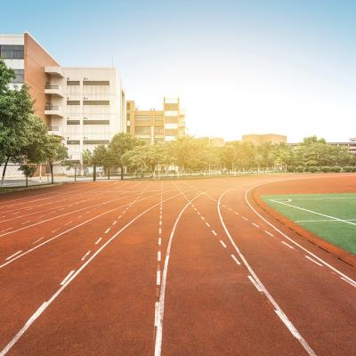 Cina Sistema del panino di resistenza all'urto 13mm che esegue la pavimentazione di sport del campo da giuoco della pista in vendita