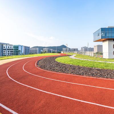 Cina Pista pareggiante all'aperto di plastica 13mm variopinto senza cuciture di IAAF Epdm in vendita