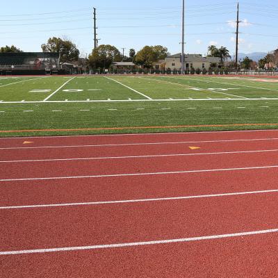 Китай Спортивная площадка зерна следа EPDM тартана IAAF синтетическая резиновая идущая продается