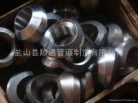 China Butt Welding Branch Outlet for sale