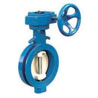 China Eccentric Butterfly Valve for sale
