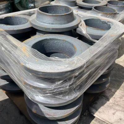 Cina A182 F60(S32205) duplex stainless steel flange blanks from stock in vendita
