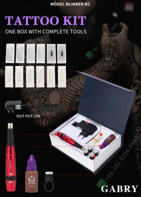 China Eyebrow Permanent Makeup Machine Kit Rotary With Thunderlord Cartridge Needles for sale