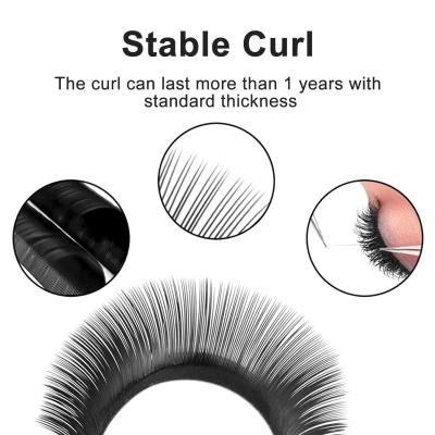 China YY Lash Extensions CC/D/DD Curl 0.10mm Thickness Volume Extension 8-14mm Long Lasting Matte Black False Lashes for sale