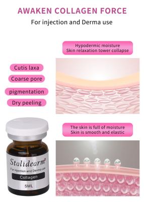 Cina Collagene per la cura della pelle del viso all'ingrosso 5 ml*5Filati Siero per la gioventù iniezione con funzione di lucentezza in vendita