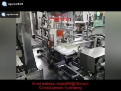 Simplex automatico che lamina processo a macchina della laminazione della batteria di potere