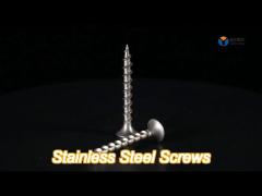 A2 de Snelle Schroeven van het Assemblageroestvrije staal/Schroeven van de Trompet de Hoofd Ruwe Draad